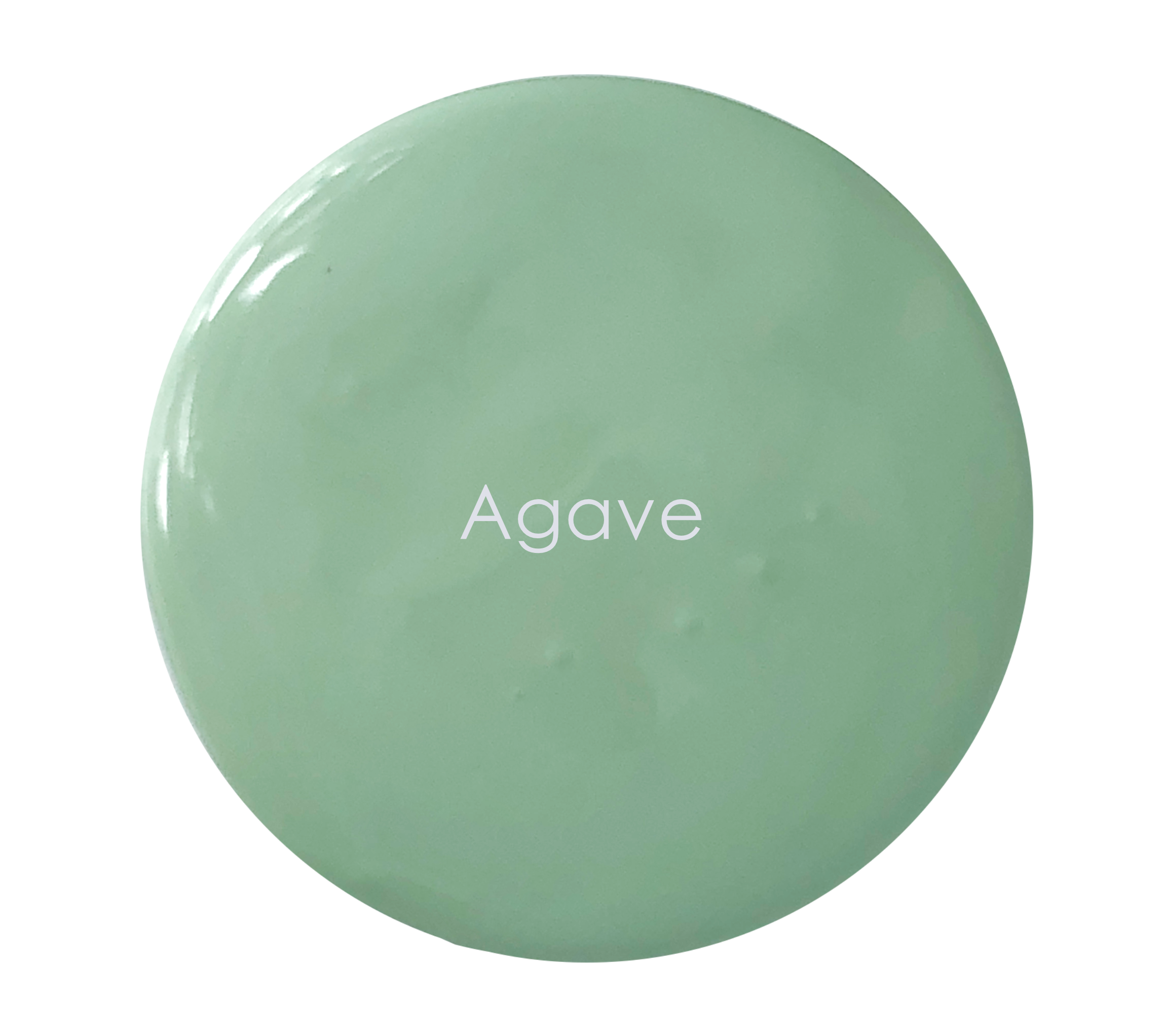 Agave Velvet Luxe – Soft Succulent Green | NZ Artisan Paint