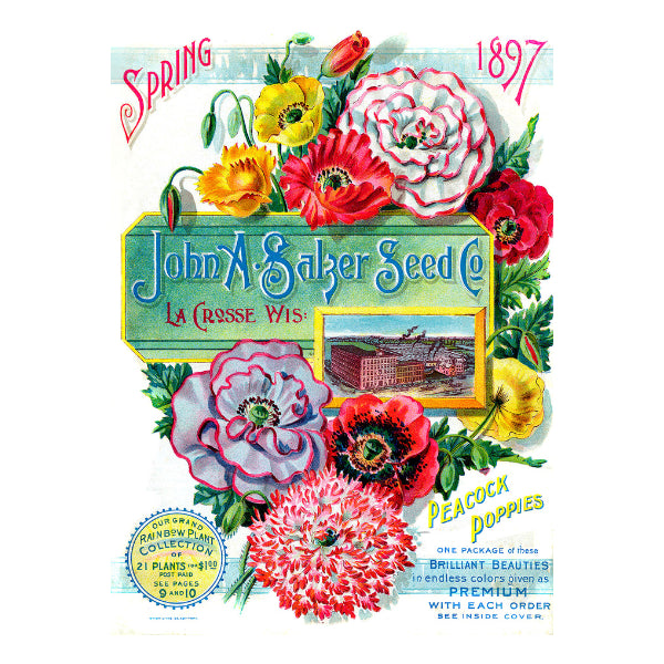 Spring 1897 | White Cloud Transfer | Rub On Transfer