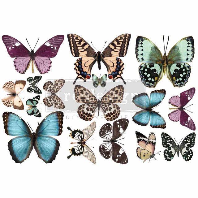 Redesign Transfer | Butterfly | Dooney & Daughters