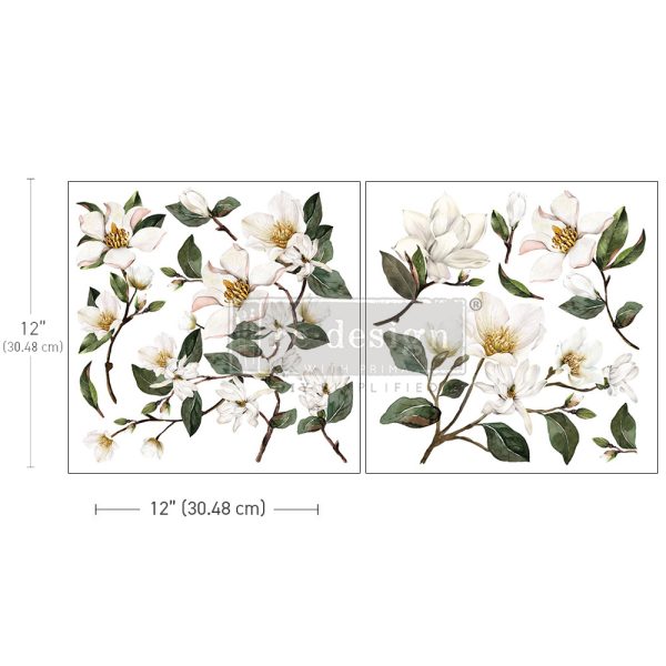 Redesign Transfer | Magnolia Garden | Dooney & Daughters